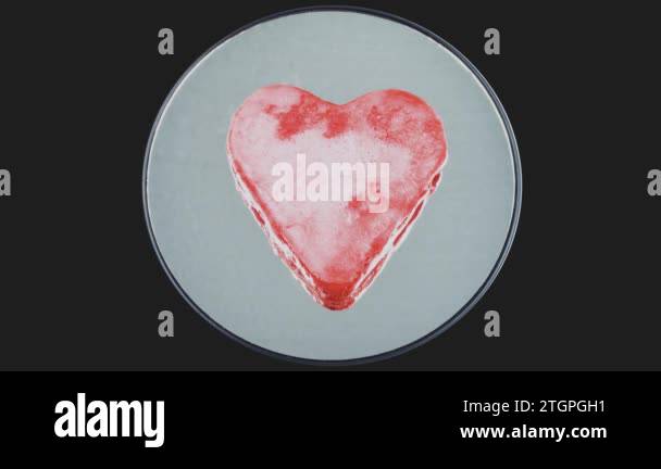 Red Heart melting Valentines Day love affection love holidayTime lapse ...