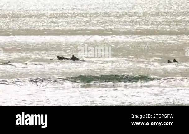 People float on the waves on surfboards. Mid shot Stock Video Footage ...