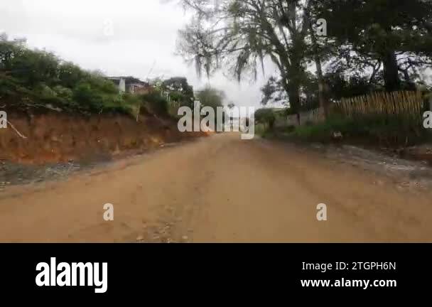 Traditional daylight trees Stock Videos & Footage - HD and 4K Video Clips - Alamy