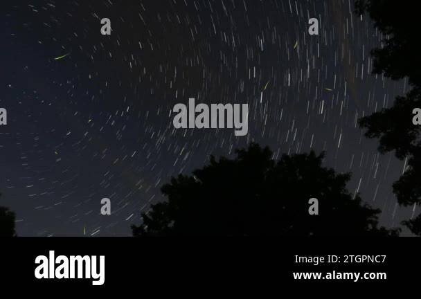 Fireflies and stars in the night sky Stock Videos & Footage - HD and 4K ...