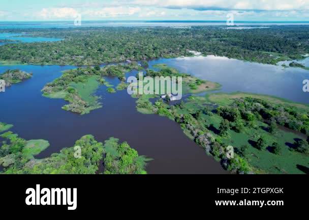 Amazon River at Amazon Forest. The famous tropical forest of world ...