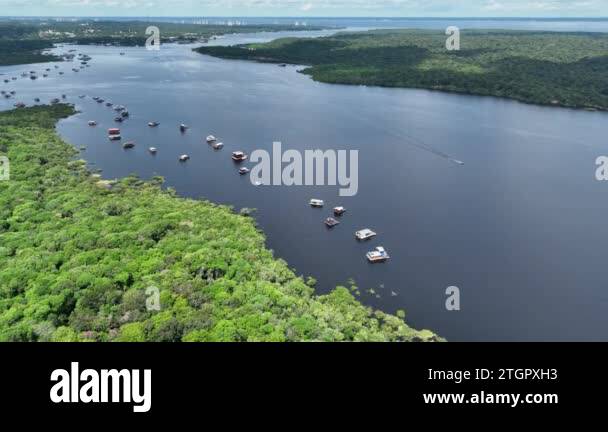 Nature aerial view of Amazon forest at Amazonas Brazil. Mangrove forest ...