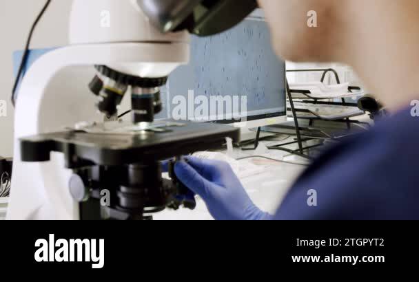 The doctor examines the sperm samples under a microscope. Lab worker is ...