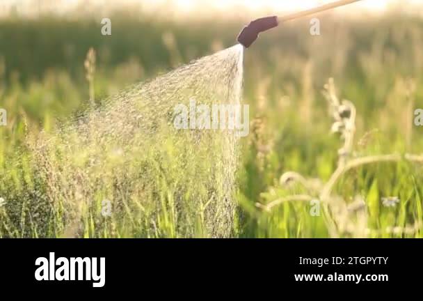 Spray ecological pesticide. spraying toxic pesticides, pesticide ...