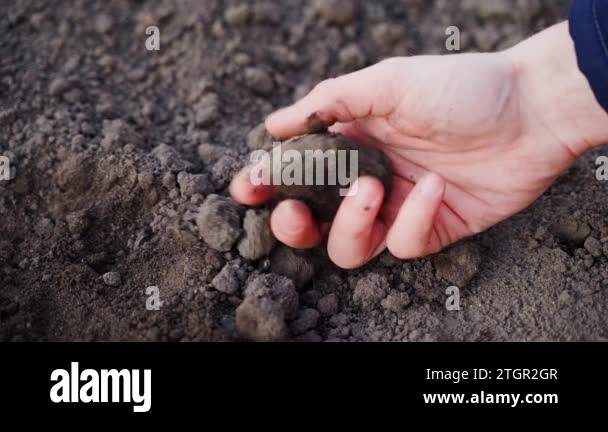 Soil condition garden Stock Videos & Footage - HD and 4K Video Clips ...