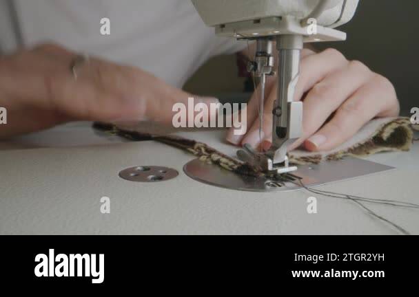 Hands of female seamstress works on sewing machine. Designer sews ...
