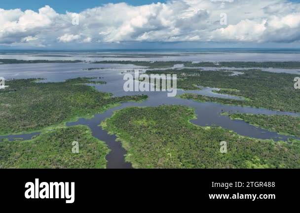 Nature aerial view of Amazon forest at Amazonas Brazil. Mangrove forest ...