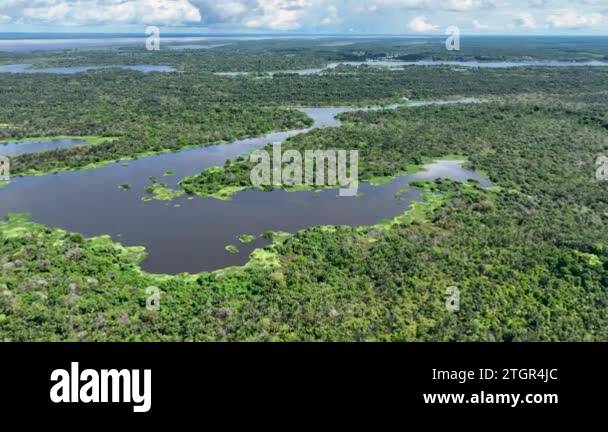 Manaus Brazil. Taruma River at Amazon Forest affluent of giant Black ...