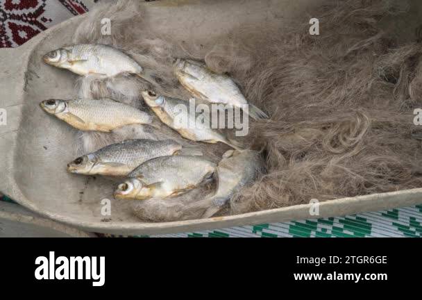 Wooden troughs Stock Videos & Footage - HD and 4K Video Clips - Alamy