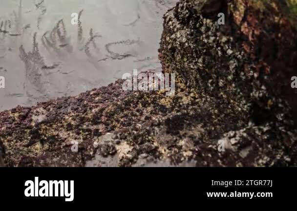 Sea corrosion Stock Videos & Footage - HD and 4K Video Clips - Alamy