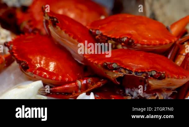 Fine Dining Buffet in Luxury Restaurant Setting Boiled or Steamed Red ...