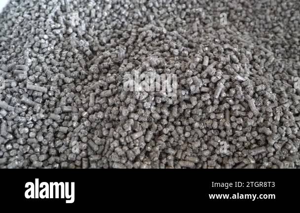 Biomass oil seed Stock Videos & Footage - HD and 4K Video Clips - Alamy