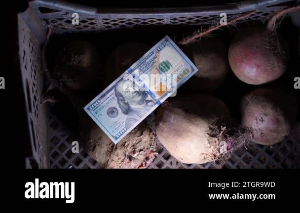 A hundred dollar bill is in a crate of leftover red beets in the ...