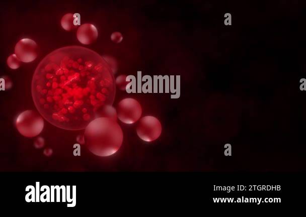 Macro Red Blood Cells In Artery, Disease Prevention, Healthcare ...