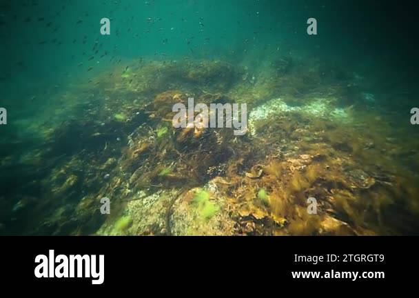 Swimming with a float underwater Stock Videos & Footage - HD and 4K ...