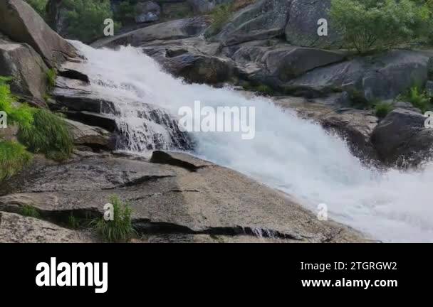 Trees over waterfalls Stock Videos & Footage - HD and 4K Video Clips ...