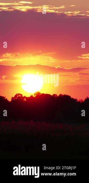 Vertical Screen: Sunset or Sunrise in the Yellow Sky. Big Bright Sun ...