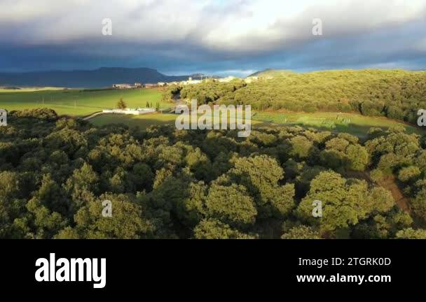Encinar Stock Videos & Footage - HD and 4K Video Clips - Alamy