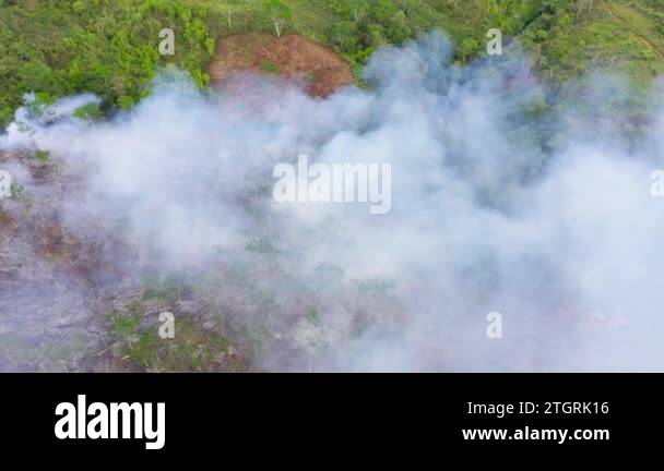 Forest fire in the mountains. Using fire to destroy natural habitat and ...