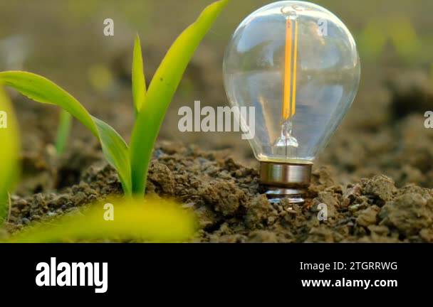 Natural light sources Stock Videos & Footage - HD and 4K Video Clips ...