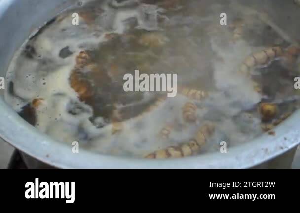 A close up shot of turmeric root being boiled in a big pot . Turmeric ...