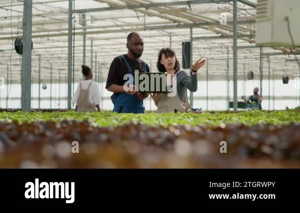 Two diverse organic farm workers using laptop with agricultural ...