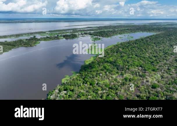 Nature aerial view of Amazon forest at Amazonas Brazil. Mangrove forest ...
