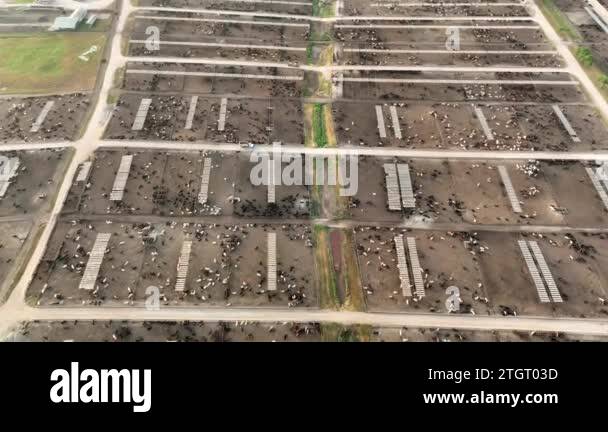 Confined feeding operation Stock Videos & Footage - HD and 4K Video ...