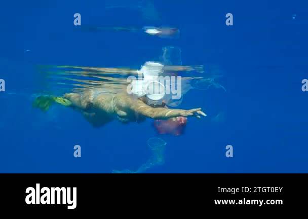 Woman swim and collects plastic trash underwater clean up of dirty ...