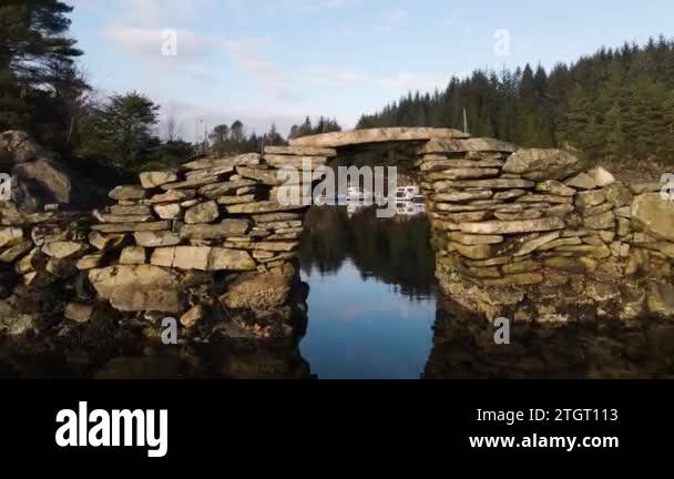 Pine trees in harbour Stock Videos & Footage - HD and 4K Video Clips ...