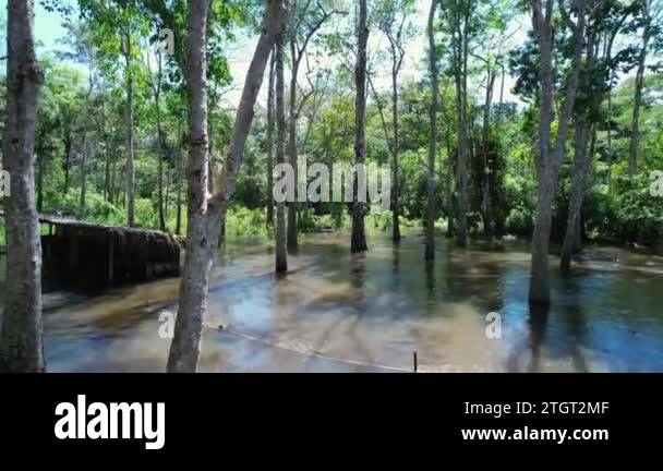 Indigenous native village at Amazon Forest Amazonas Brazil. Jungle ...