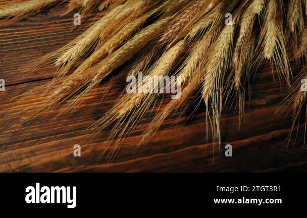 Corn sheaf Stock Videos & Footage - HD and 4K Video Clips - Alamy