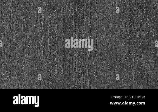 Static noise texture. VHS glitch. Artifacts overlay. Old TV damage ...