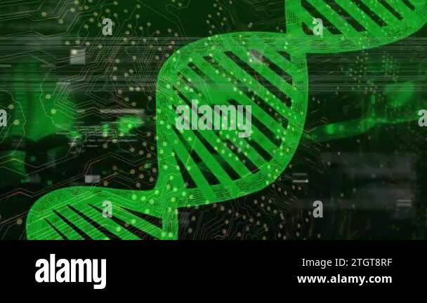Animation of interference and dna strand over computer circuit board and data processing. Global ...