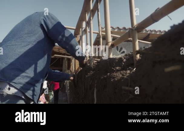 A reed structure Stock Videos & Footage - HD and 4K Video Clips - Alamy