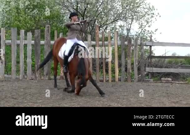 Rider on the horse Stock Videos & Footage - HD and 4K Video Clips - Alamy