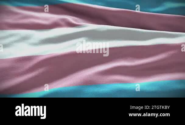 Transgender symbol flag background 4K graphic backdrop Stock Video ...