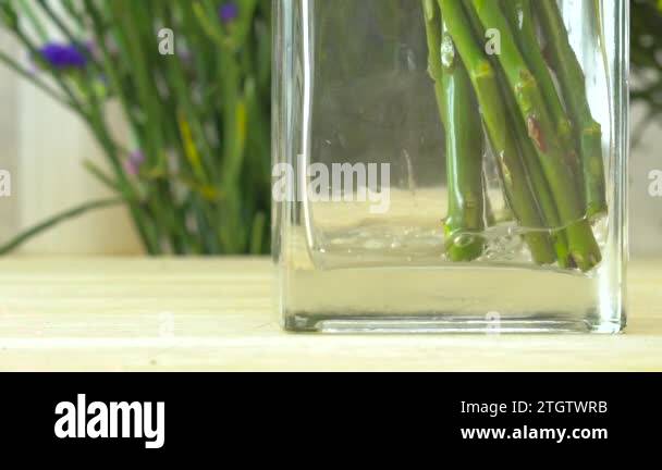 Note vase Stock Videos & Footage - HD and 4K Video Clips - Alamy