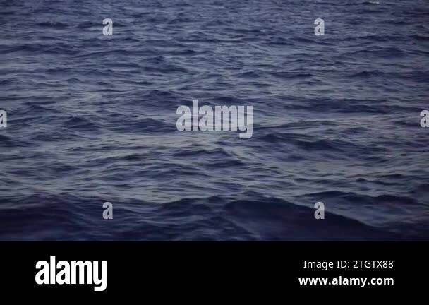 Boat ship wake prop wash Stock Videos & Footage - HD and 4K Video Clips ...