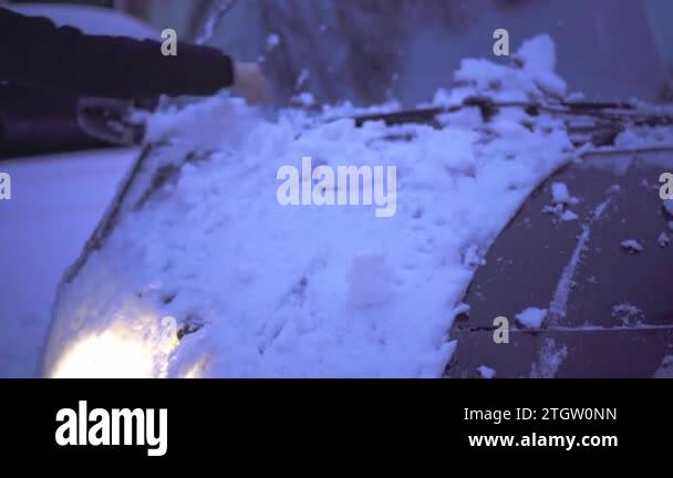 Morning chores in the winter season. Shoveling snow from the hood of a ...