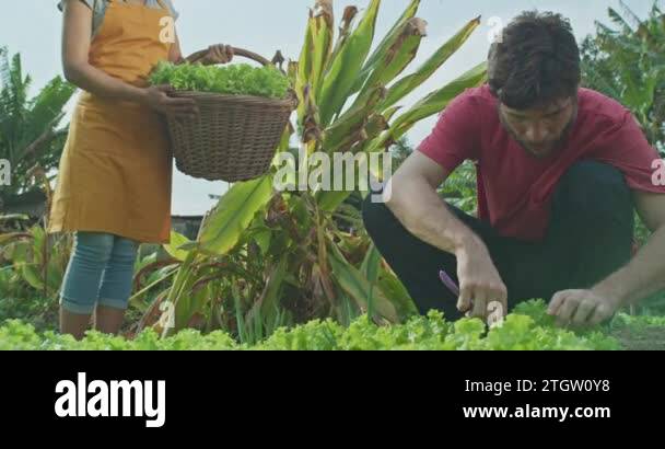 Young people farming Stock Videos & Footage - HD and 4K Video Clips - Alamy