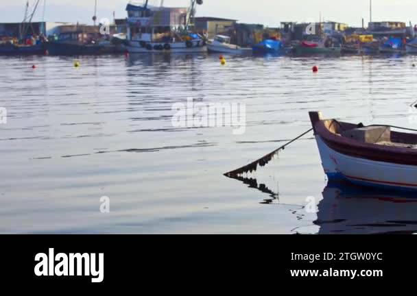 Mossy rope Stock Videos & Footage - HD and 4K Video Clips - Alamy