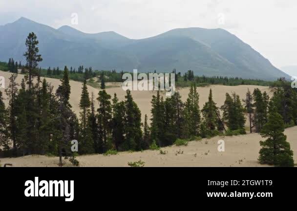Desert canada Stock Videos & Footage - HD and 4K Video Clips - Alamy