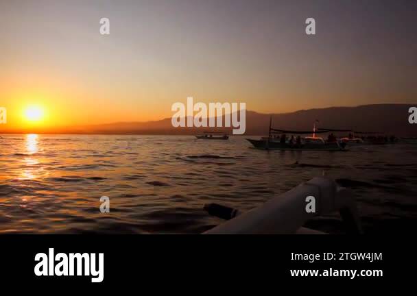 Wild animals boats Stock Videos & Footage - HD and 4K Video Clips - Alamy