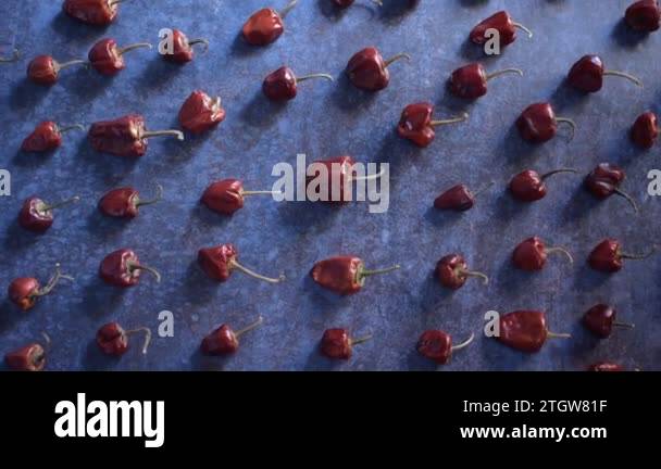 Dried red pepper pod Stock Videos & Footage - HD and 4K Video Clips - Alamy