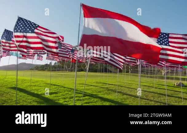 Flag of Austria waving in wind with many American flags on motion ...