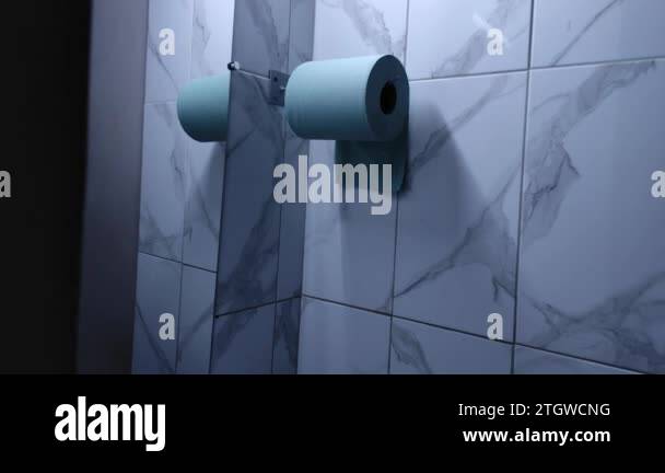 Roll of toilet paper in the restroom. Paper napkins for hands in the ...