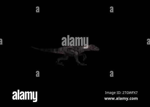 Velociraptor Stock Videos & Footage - HD and 4K Video Clips - Alamy