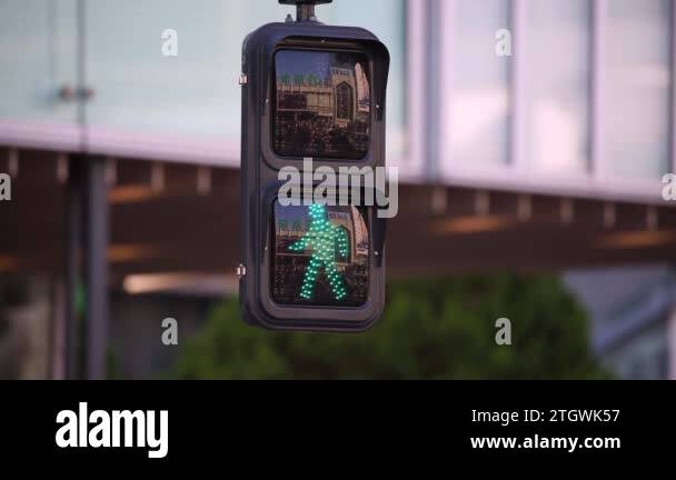 Pedestrian Traffic Light Green Sign in Blinking and Changing into the ...