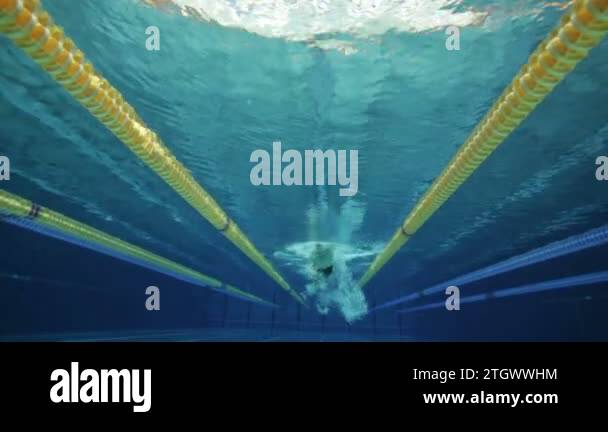 Olympic swimmer rear Stock Videos & Footage - HD and 4K Video Clips - Alamy